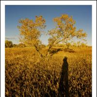 The GetDPI Photography Forums